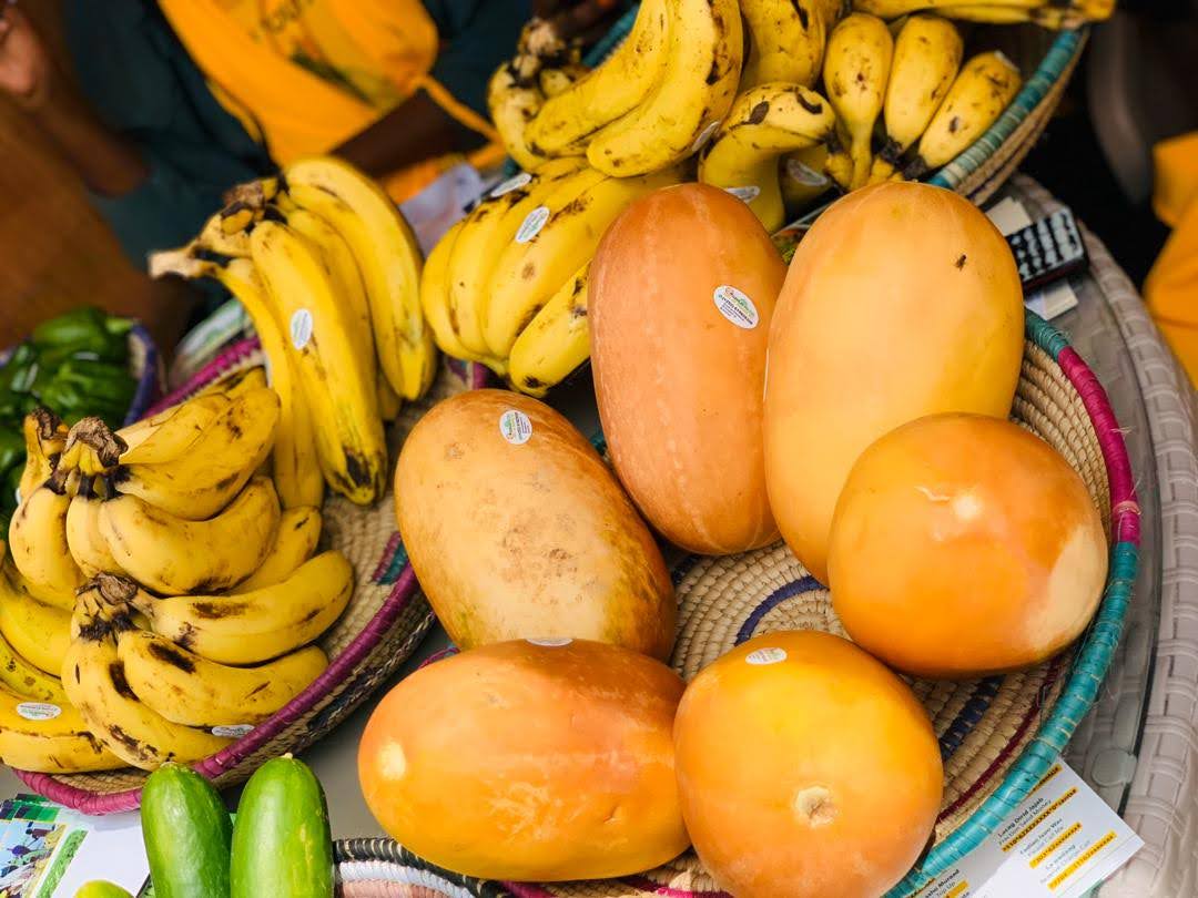Home | Somfreshfruits